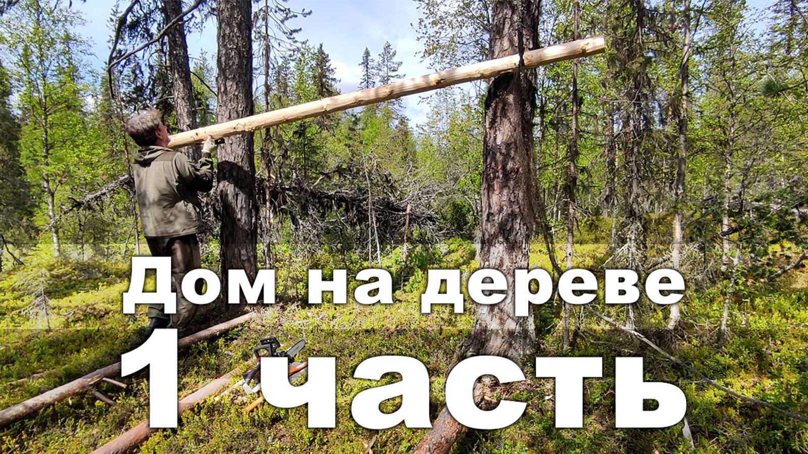 1 часть_Строительство дома на дереве