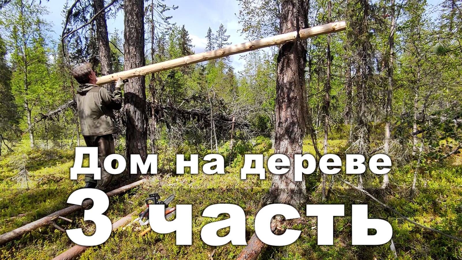 3 часть_Строительство дома на дереве