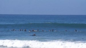 PRO Surfers RIP apart MINI Lower Trestles - RAW CLIPS 9/12/2021
