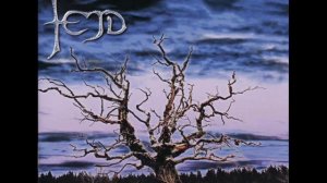 Fejd - Storm
