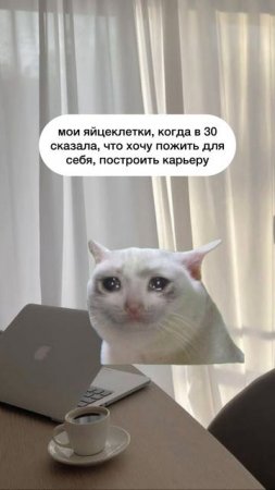 Криоконсервация яйцеклеток