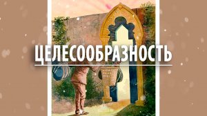 "Целесообразность". Ирина Косюга. 16.02.2025 [НХМ]