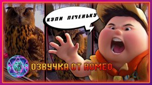 😨 ОЗВУЧКА ОТ ROMEO 🍪 КУПИ ПЕЧЕНЬКУ 😍 | СМЕШНЫЕ ЖИВОТНЫЕ | ОЗВУЧКА КОТОВ 😼 | #romeobarskiy