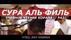 СУРА 105 ФИЛЬ (СЛОН) 7 раз. КОРАН НА КАЖДЫЙ ДЕНЬ
