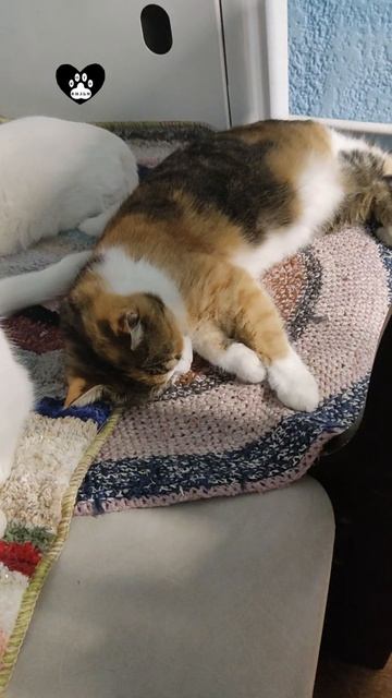 Крепко спать...