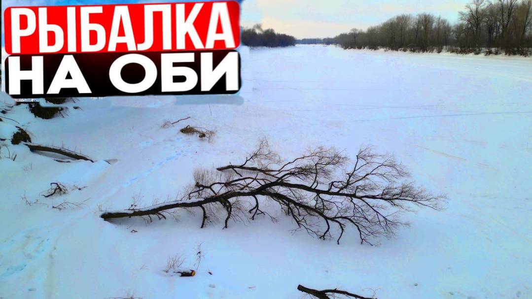 УЕХАЛ В КОНКРЕТНУЮ ГЛУШЬ ПОРЫБАЧИТЬ С НОЧЁВКОЙ И ЭТО БЫЛ ШОК! РЫБАЛКА НА ОБИ