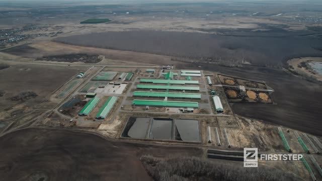 Корпоративный фильм для компании Zinpro