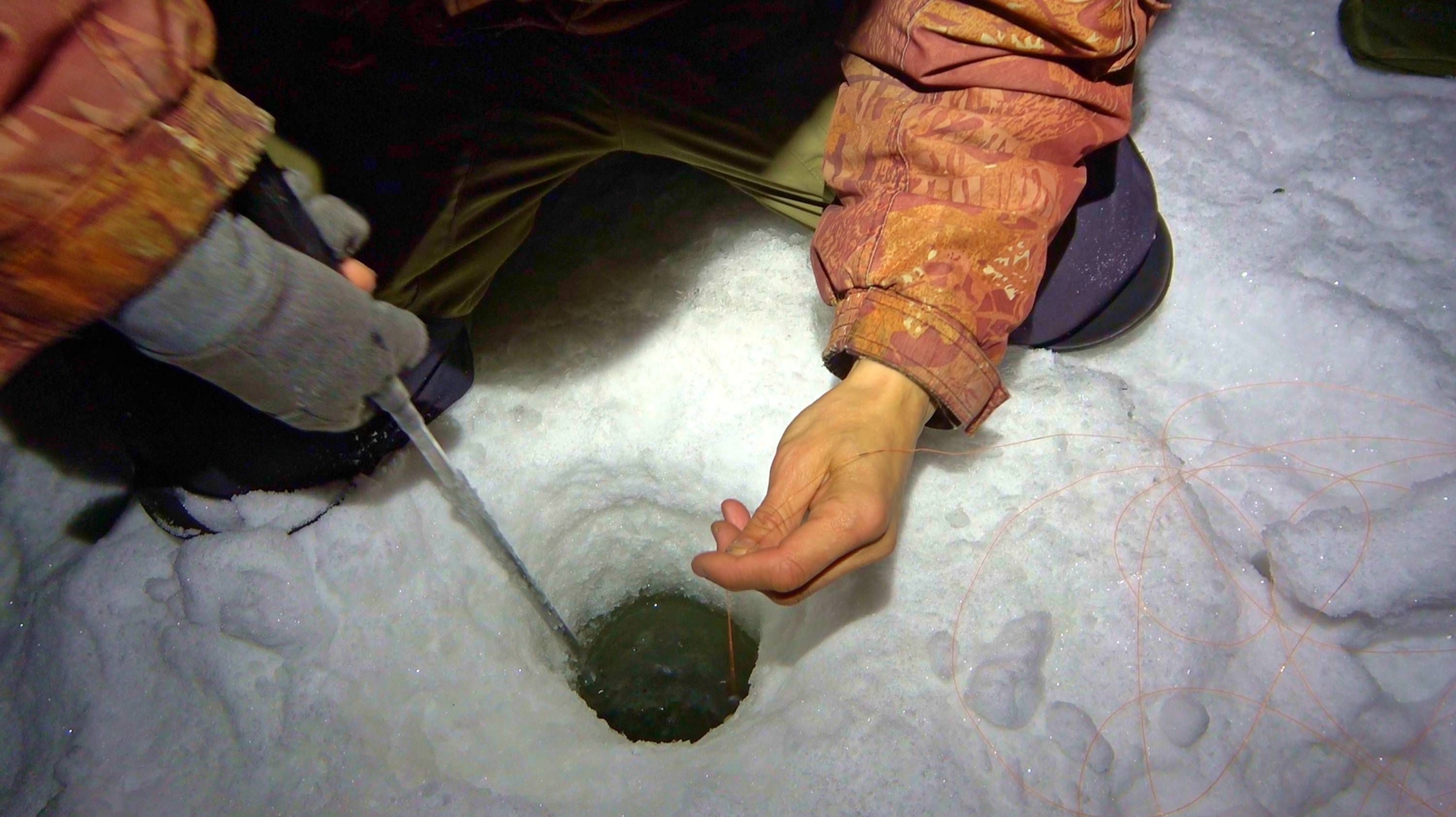 КРУПНАЯ РЫБА ПОД ЛУНКОЙ!! БАГОР ДАВАЙ!!