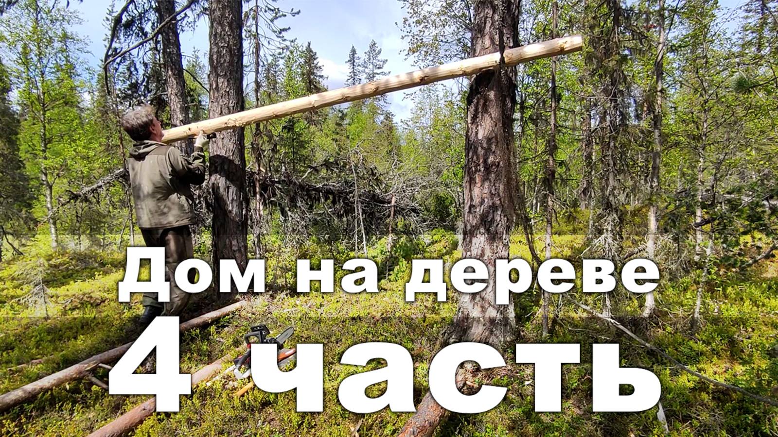 4 часть_Строительство дома на дереве