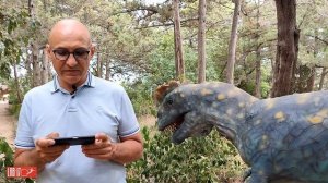 Что такое «магическое мышление» и как это связано со странными теориями
