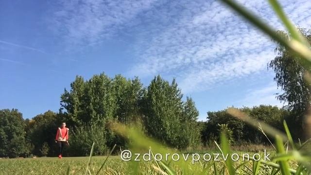 ОФП. Кардио. NW. Скандинавская ходьба.