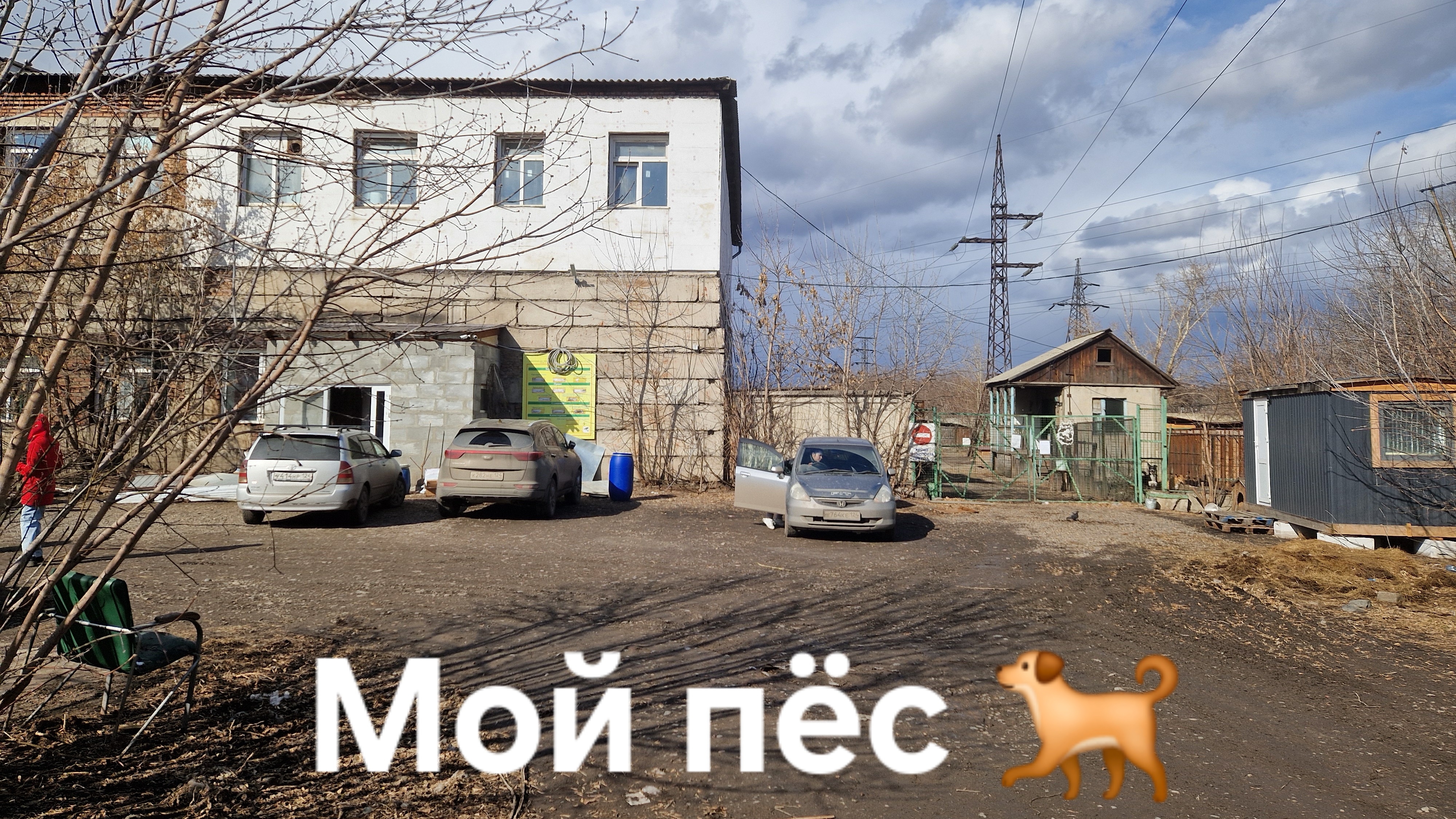 Приют для животных "Мой пёс" города Красноярска. Везём корм и гуляем с собакой.