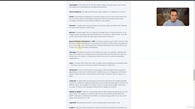 14 Доступ к Интернету в ChatGPT 4 (просмотр веб-страниц с помощью Bing в ChatGPT) (Все об искусс...)
