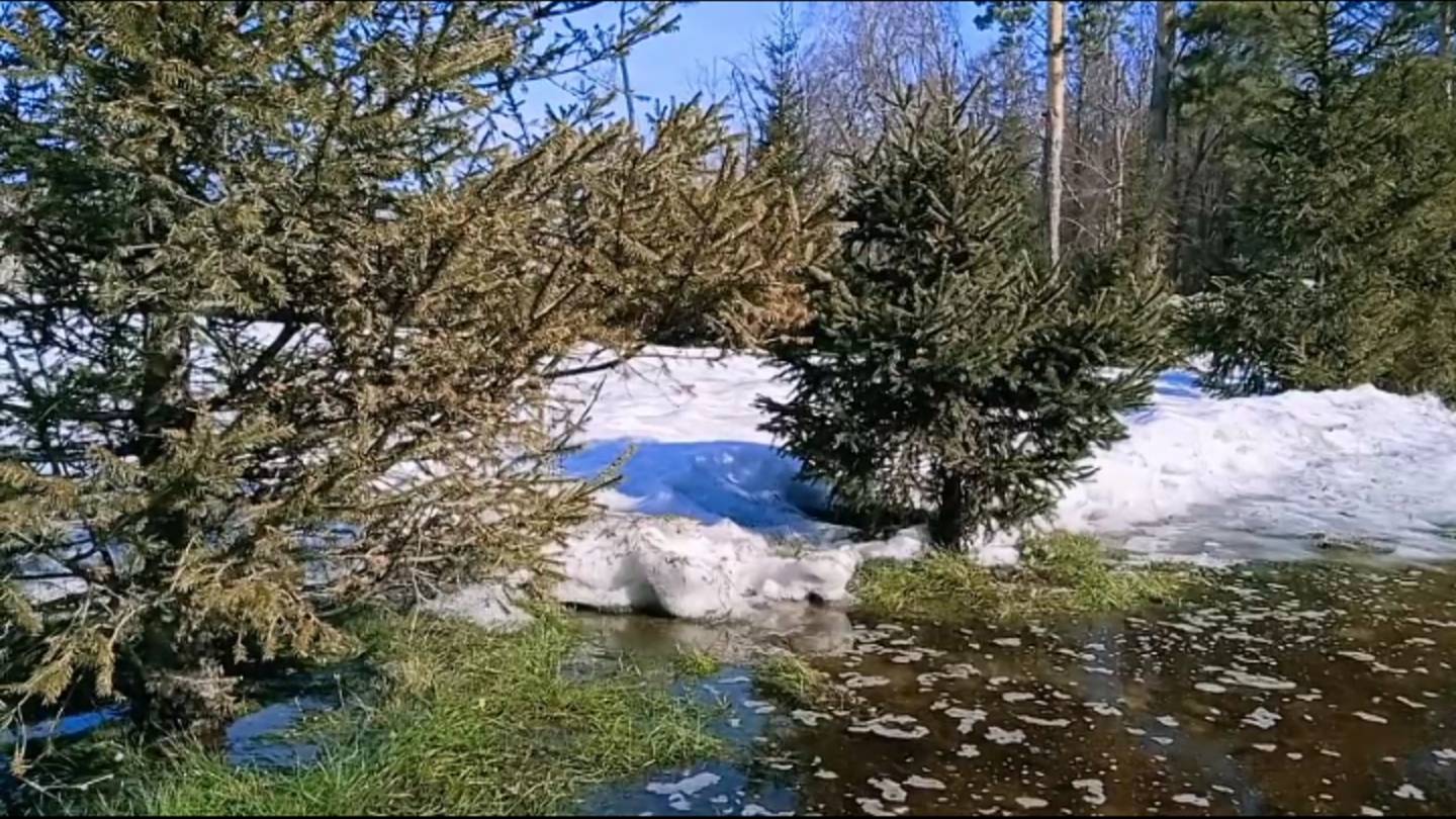 Журчат ручьи...
