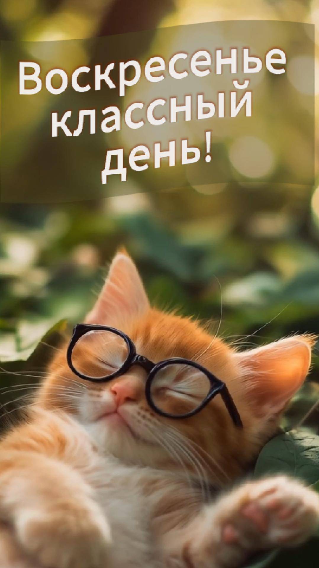 Воскресенье и котик. Нейровидео от @neiro_aleks.
