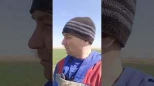 Подработка на полях. Помощь трактористу)