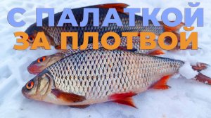 Рыбалка в палатке на Свири: плотва, чехонь и обед с приключениями!