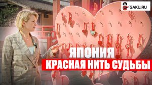 Весна в Японии
