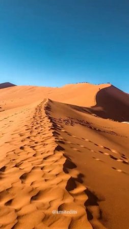 Desert photography status | Thar desert photography | Instagram reels viral sound | Amit Edits