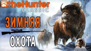 The Hunter Classic:: Скрытная Охота в Прямом Эфире! #14 +Фарм и.д. Белый мишка.