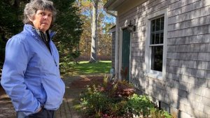 Tour of Ann's Garden on Cape Cod - 🌸🌳🌺