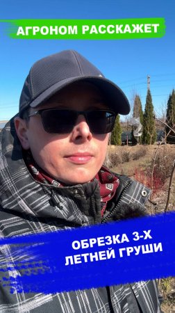Обрезка 3-х летней груши