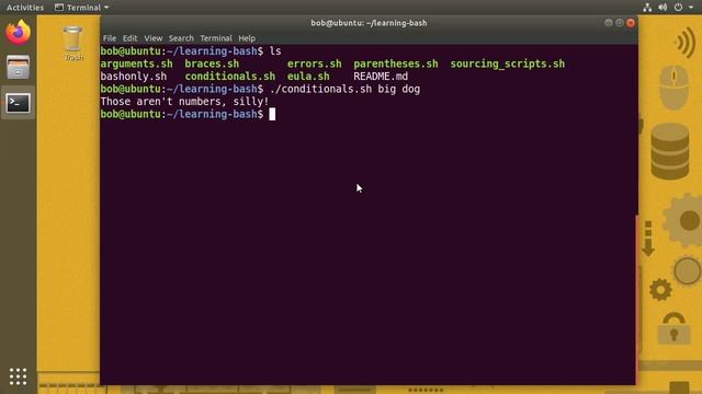 13 linux-bash-training_2-deploy-and-execute-basic-bash-scripts_06-using-conditions-if-then