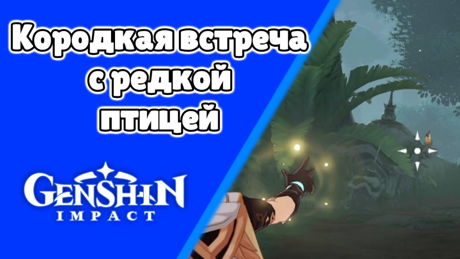 Задания мира Кородкая встреча с редкой птицой Шефкет | Сумеру | Озвучка | Genshin Impact