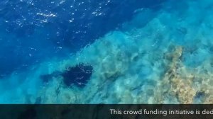 Ionian Dolphin Project; crowdfunding for a new research boat