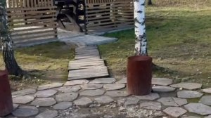 Отдых в Подмосковье