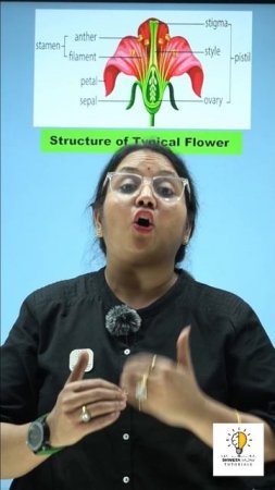 #cbse #neet #class12biology #concept #neetzoologyexam #neetbiologyoneshot #neetbiologypreparation