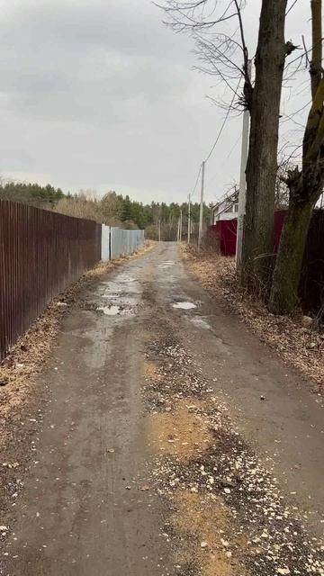 Участок 16 соток с соснами, электричеством под коммерческую деятельность( Глэмпинг) в д. Легково