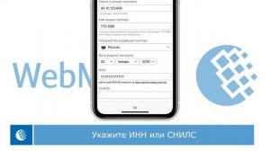 Как пройти идентификацию в системе WebMoney