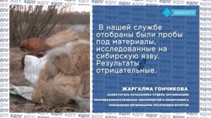Управление Россельхознадзора выдало требование об утилизации биологических отходов в г. Улан-Удэ