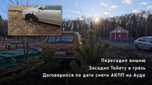 Пересадил вишню, засадил Тойоту. Договорился о времени снятия АКПП и мотора с Audi A8D3