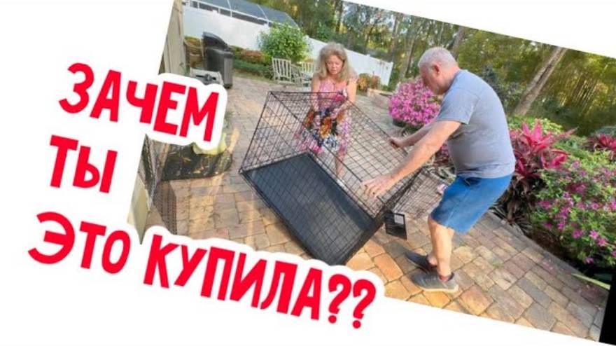 Наталья Фальконе. Бросят ли они гнездо Как думаете