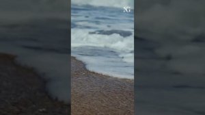 Выбирай лучшее 🇹🇷
