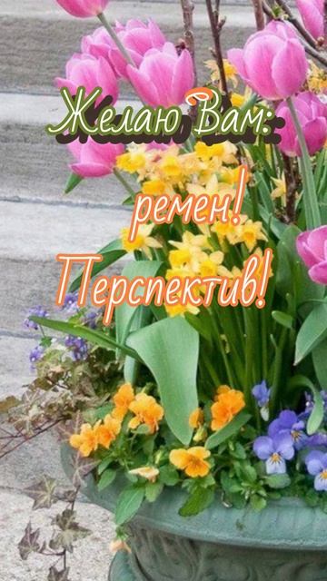 С добрым утром!💐#пожеланиядоброгоутра#весна#shorts