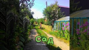 ПРОЛИФ - Сад