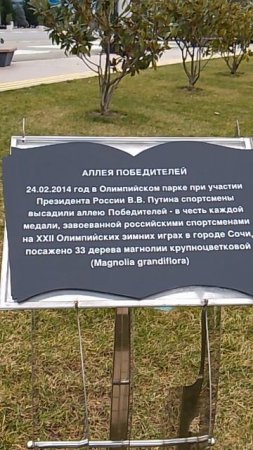 Олимпийский парк в Сочи