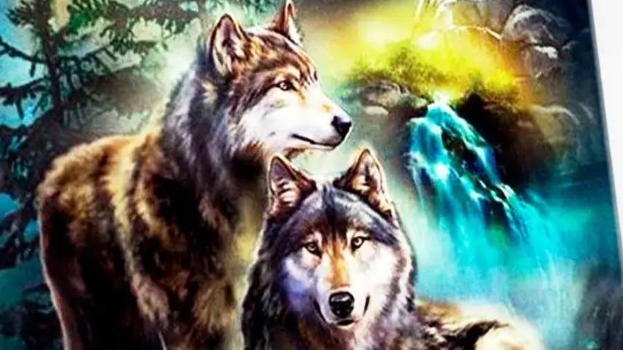 Обзор набора  от Art on Canvas  Лунная ночь Волки