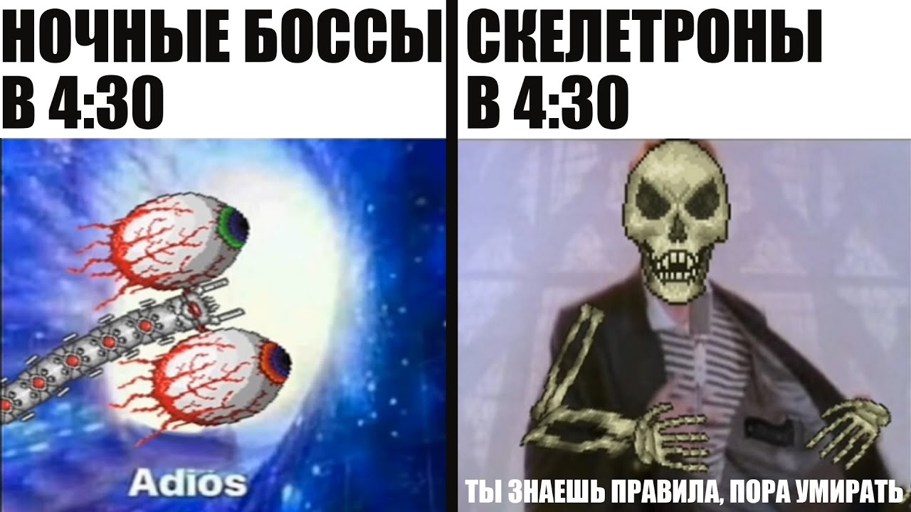 📹 Мемы | Террария мемы