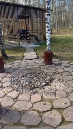 Отдых в Подмосковье