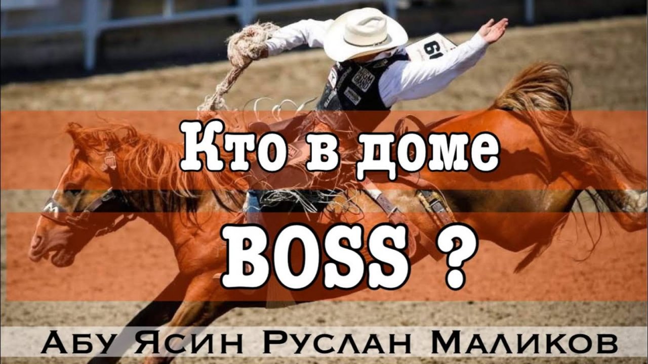 Кто в доме BOSS? Кто, что и кому должен?