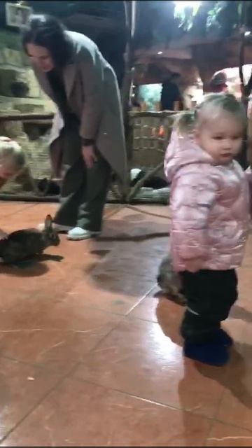 13 февраля 2025 Зайчики & зайчики