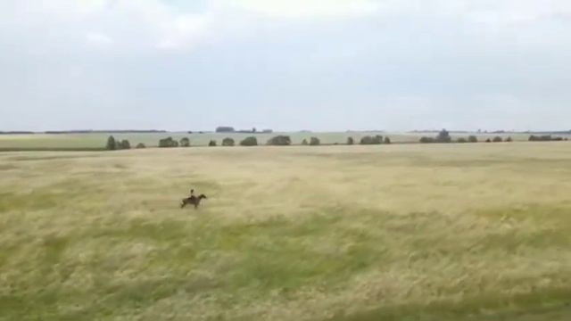 С высоты птичьего полёта!