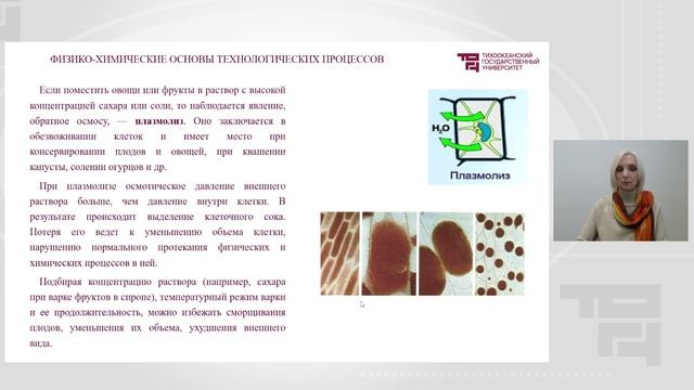 Процессы, формирующие качество продукции общественного питания