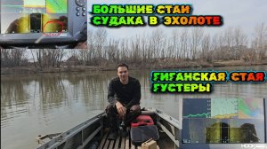 Нашел море СУДАКА и бели В ЭХОЛОТ) Рыбалка на фидер у дома