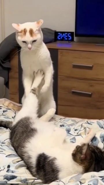 Держи дистанцию