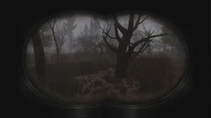Stalker Ambient Западные Топи Мрачная атмосфера